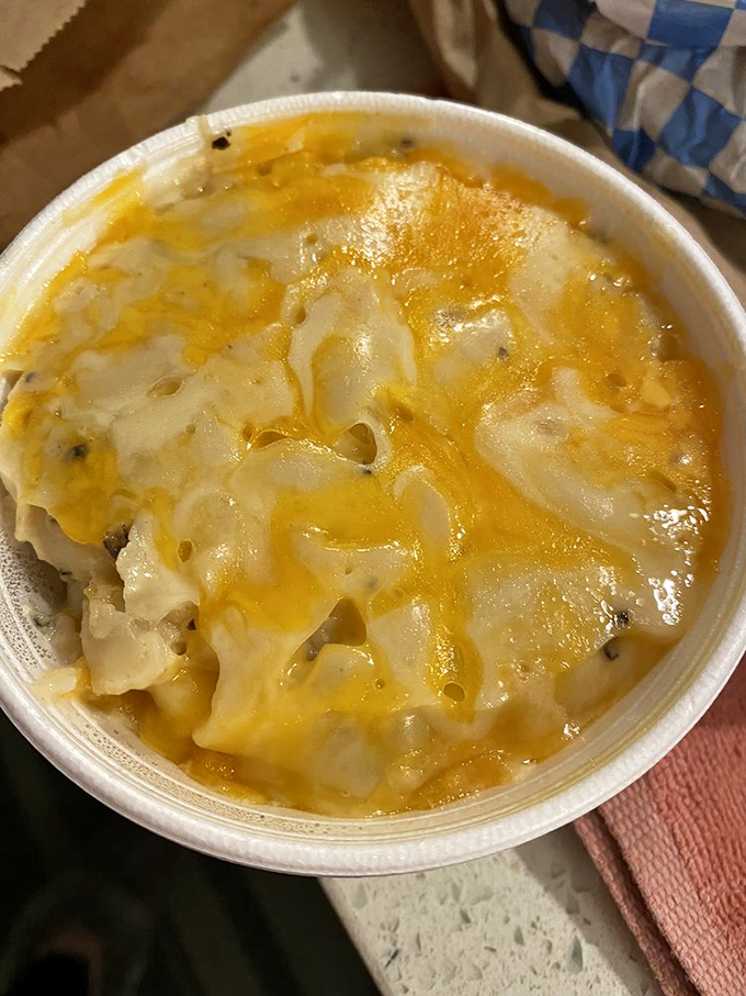 Mac and cheese that doesn't just comfort – it embraces. That golden cheese pull is the stuff of dreams and childhood memories rolled into one perfect bite.