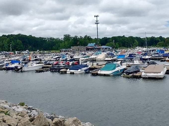 Marina tetris—where boaters play the summer-long game of "will my vessel fit in that impossibly small space?" Spoiler: somehow it always does.
