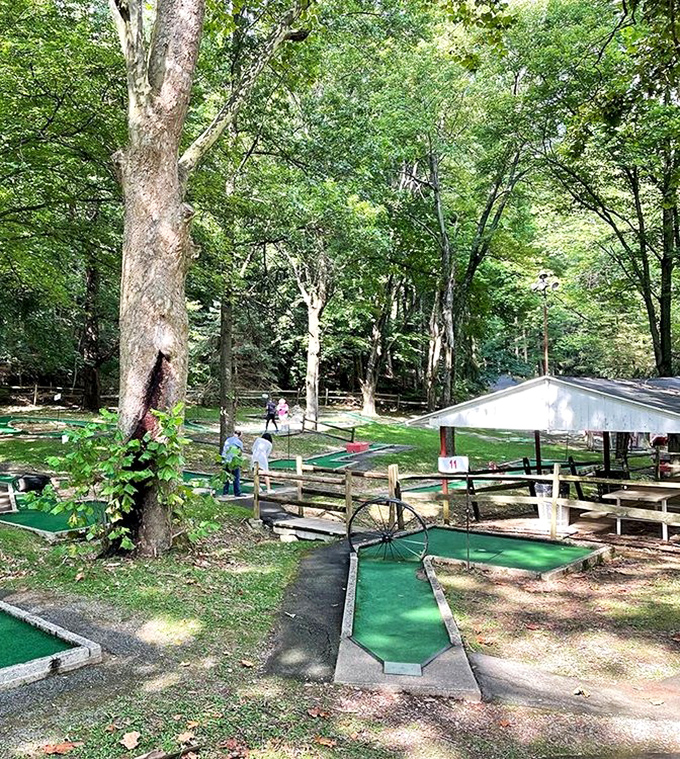 Classic miniature golf where the biggest hazard isn't a windmill, but getting distracted by the stunning scenery.