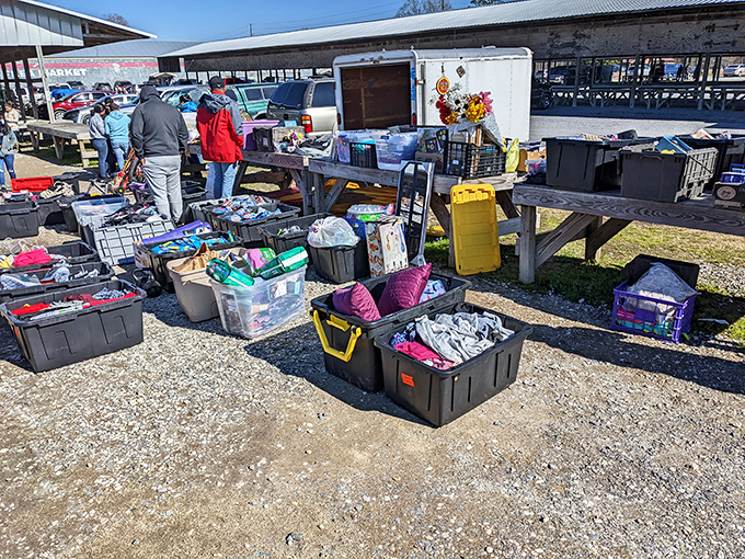 Organized chaos at its finest—plastic bins overflow with potential finds. One person's random assortment is another's perfect discovery.