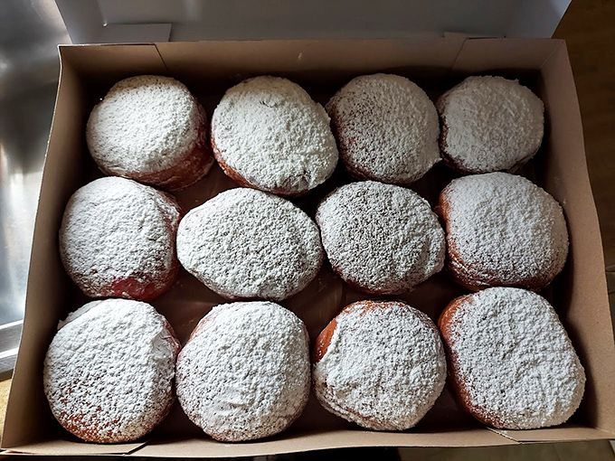 Fat Tuesday never looked so tempting – these paczki are Poland's gift to Michigan.