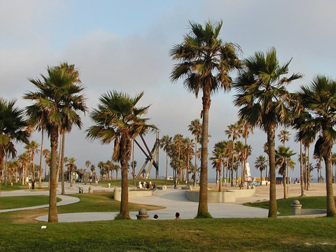 Palm trees standing like exclamation points against the sky, nature's way of saying "You're definitely in Southern California now!"