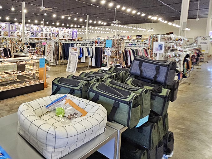 String lights overhead, fashion treasures below. The pet carrier collection rivals airport security for variety, minus the TSA pat-down.