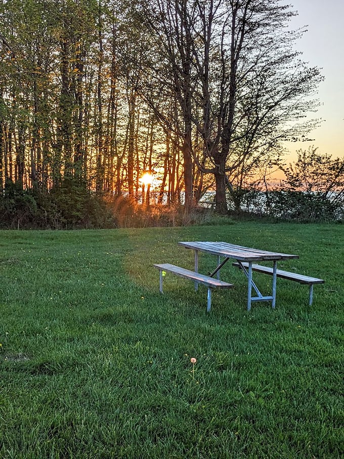 As the sun bids farewell, this lonely picnic table waits for tomorrow's memories. Sunset dining, Midwest style.