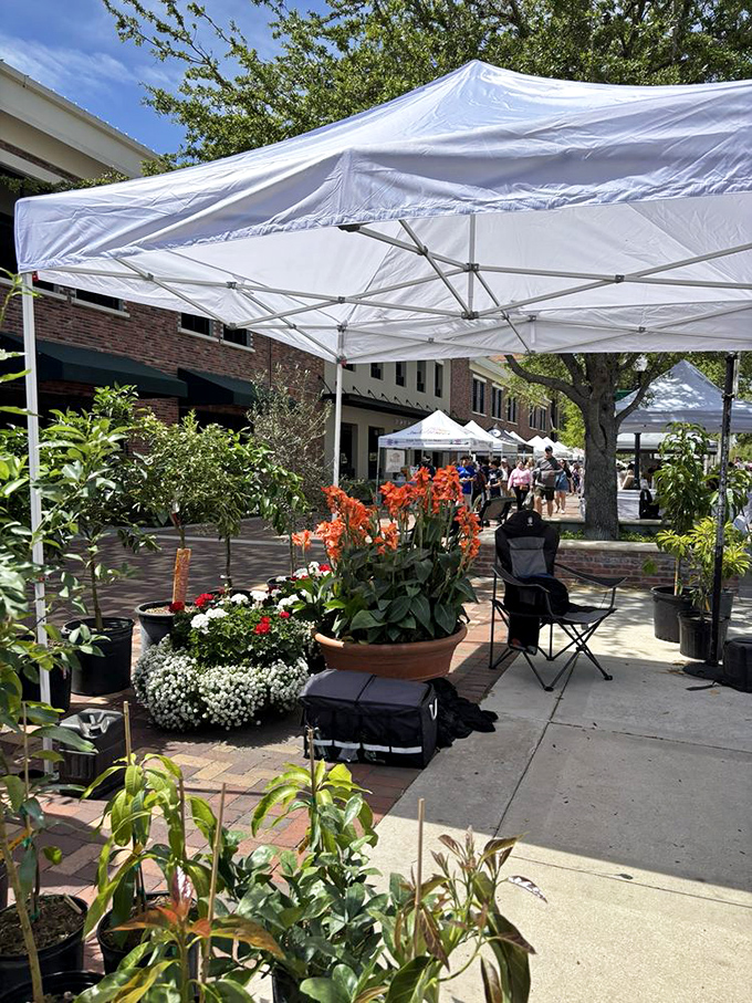 Garden dreams bloom under white tents, where potted possibilities wait to transform your patio into the envy of the neighborhood.