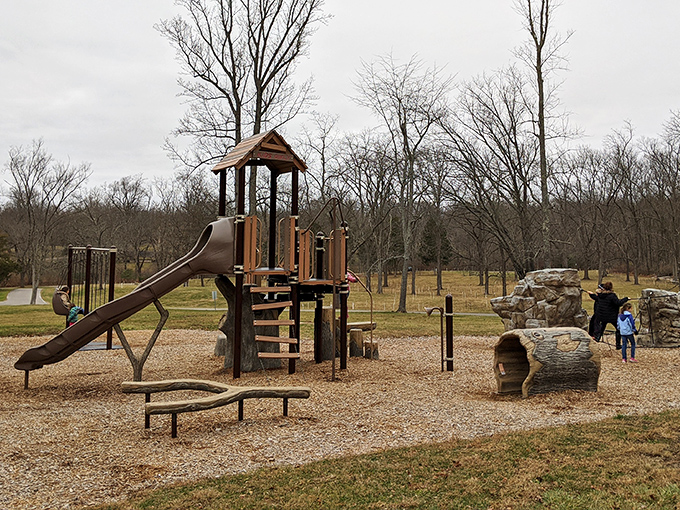 The playground stands ready for tiny adventurers, proving that even in nature's playground, sometimes you still need an actual slide.