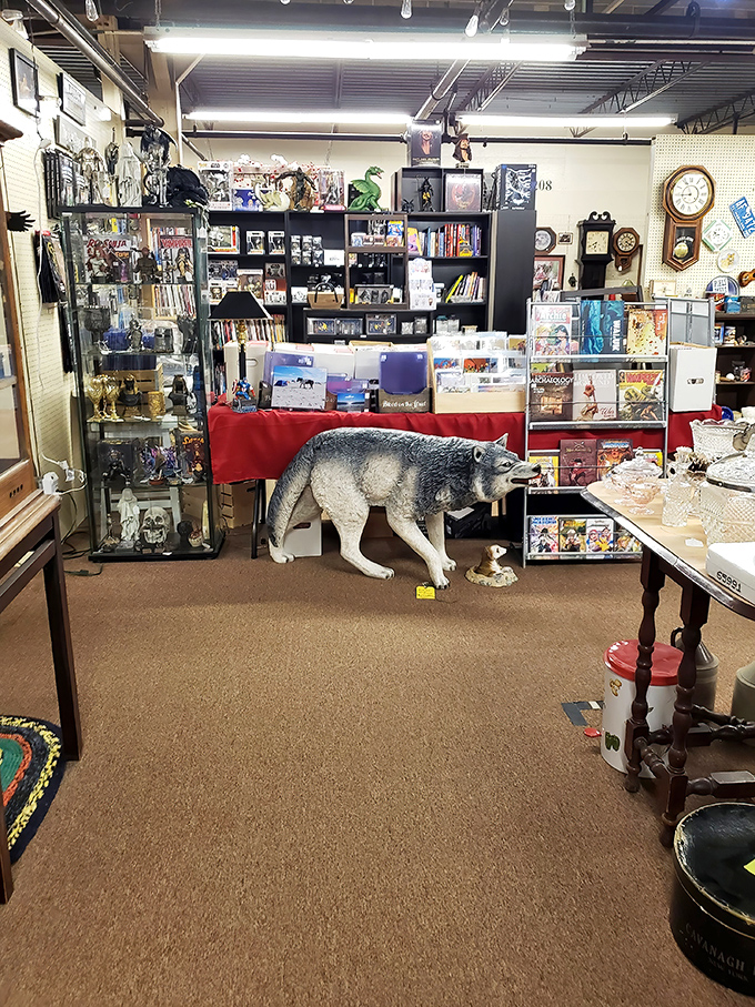 Where else can you find a life-sized wolf figurine guarding vintage collectibles? Only in the delightfully unpredictable world of antique mall browsing.