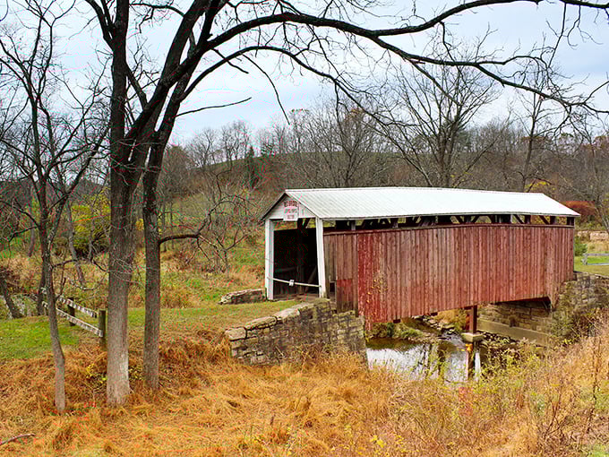 Autumn transforms the bridge into Pennsylvania's most photogenic time capsule.