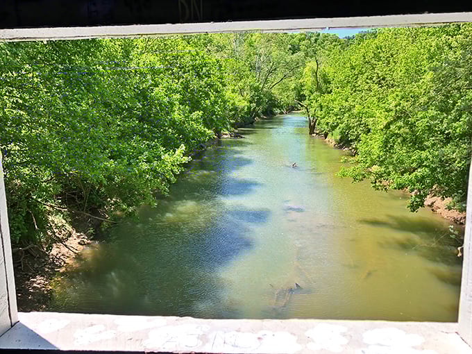 The view from the bridge window—nature's own watercolor of greens and blues, with the gentle current below telling stories of centuries past.