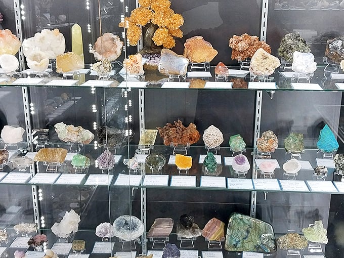Nature's jewelry box! These dazzling minerals and crystals showcase Earth's artistic side—geological masterpieces millions of years in the making.