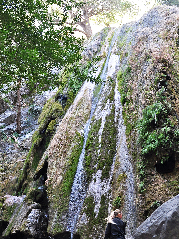 Rose Valley Falls cascades down moss-covered rock like nature's own meditation app—except this one comes with actual fresh air.