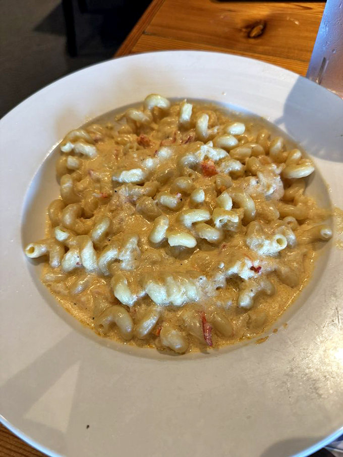 Mac and cheese grows up, goes to culinary college, and returns with seafood friends. This bowl is what comfort food dreams about at night.