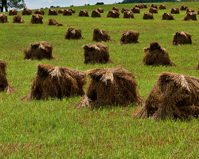These humble haystacks tell the real farm-to-table story – before it was a trendy restaurant concept, it was simply how everyone in Berlin lived.