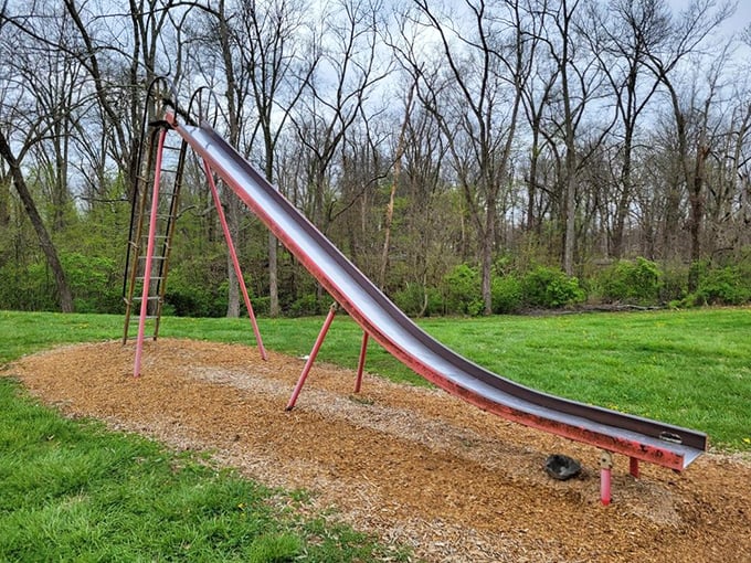 Childhood joy in its simplest form – this classic metal slide promises the same thrill that delighted kids decades before smartphones existed.