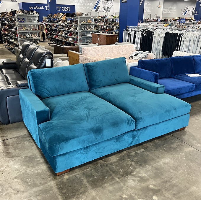 That turquoise sectional isn't just a sofa—it's your next nap headquarters. Quality furniture finds make this Goodwill a decorator's secret weapon.