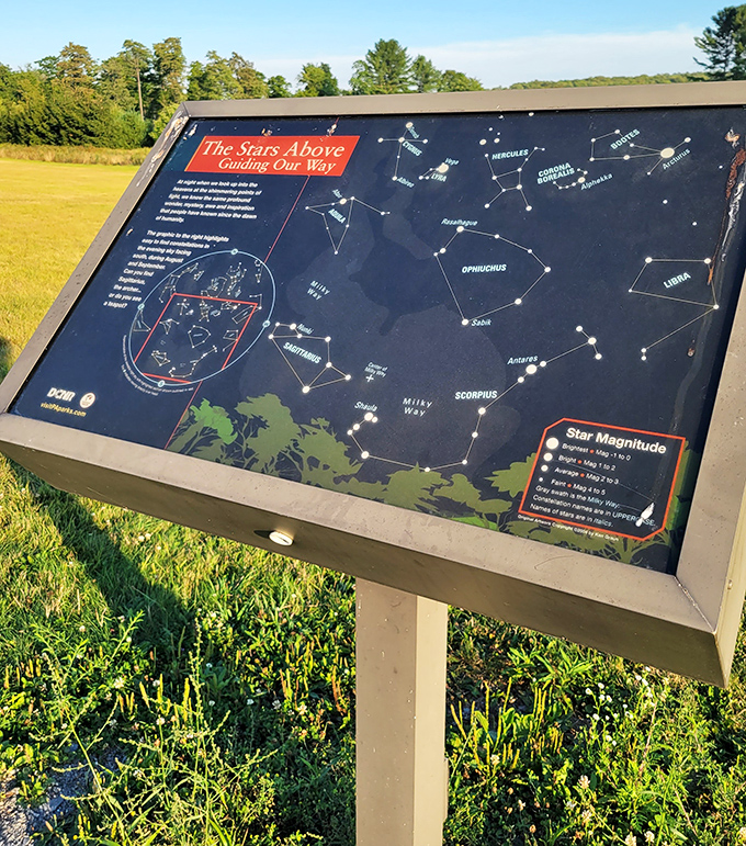 "The Stars Above: Guiding Our Way" – not just a sign, but a portal to understanding our place in the vast cosmic neighborhood.