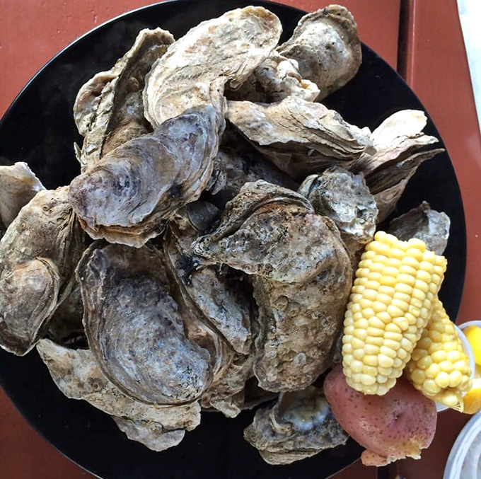 Oyster heaven looks exactly like this—briny treasures from Apalachicola's waters served with nothing but their natural perfection.