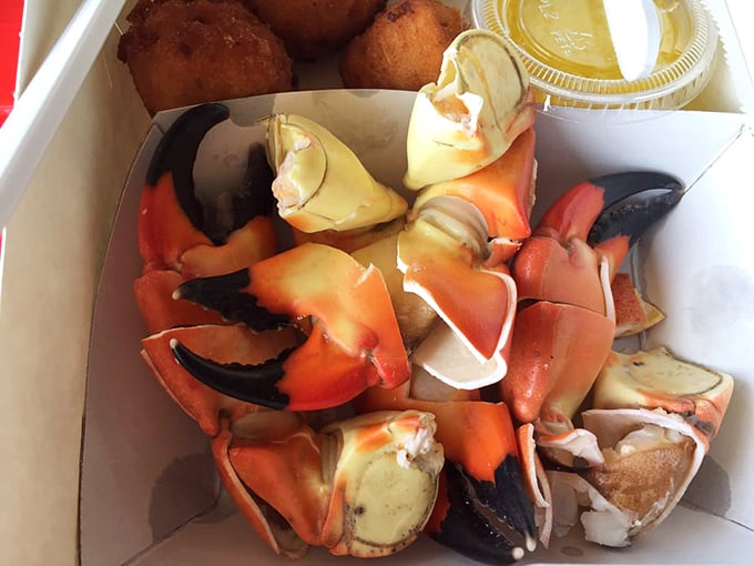 Stone crab claws – Florida's edible gold – served simply because perfection needs no embellishment. 