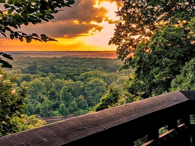 Nature puts on a nightly show from Weston's elevated vantage points—no tickets required, just bring your sense of wonder.