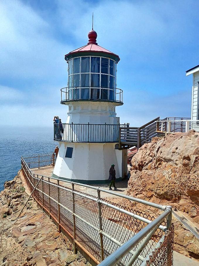 The lighthouse up close reveals its sturdy charm. That red-topped beacon has guided sailors safely through fog and darkness for generations.