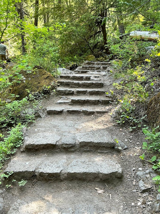 These forest steps aren't just a path—they're a drumroll building anticipation with every footfall toward the main attraction.