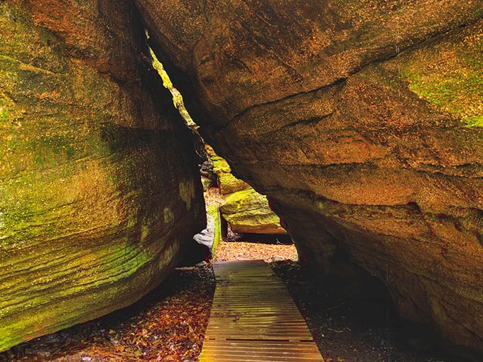 "Fat Man's Peril" isn't just a clever name—it's a genuine challenge! This narrow wooden walkway guides explorers through a slice of geological history. 