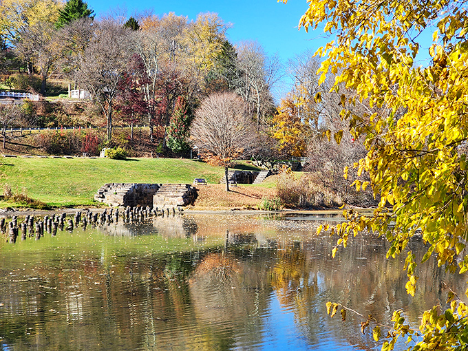 This tranquil pond at Triple Locks Park reflects autumn's golden performance, nature's version of dinner and a show.
