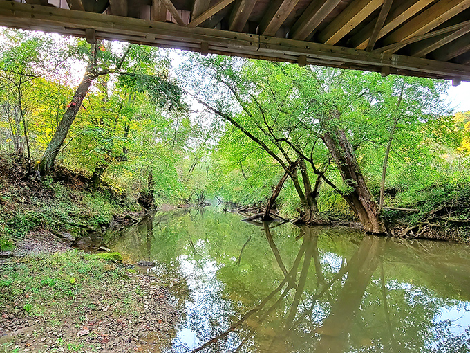 The view from below reveals the bridge's relationship with the landscape—not an interruption of nature, but a conversation with it.