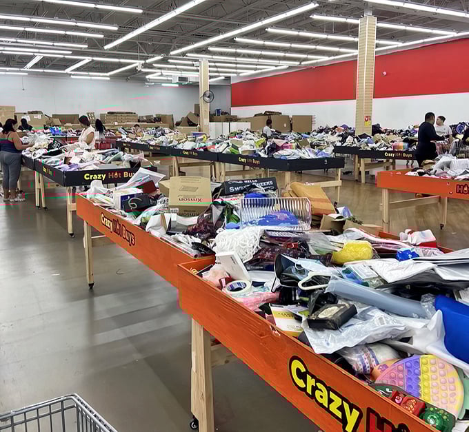 Tables upon tables of retail redemption. The fluorescent lights illuminate a landscape where patience and persistence pay dividends in spectacular finds.