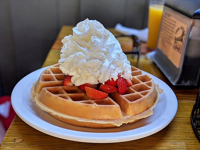 Breakfast rebellion at its finest – a waffle that refuses to be confined to morning hours, crowned with a cloud of whipped cream. 