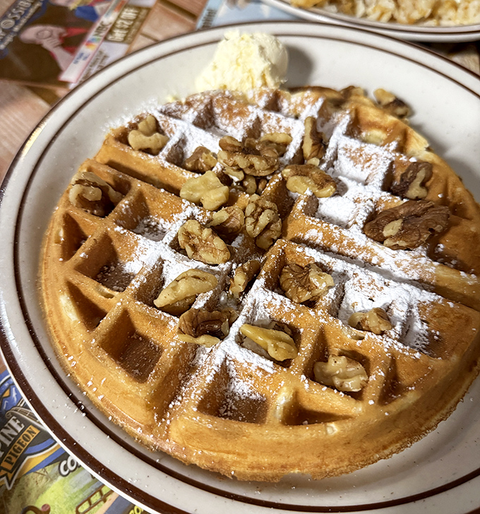A waffle that doubles as edible architecture—those perfect squares holding powdered sugar, walnuts, and the promise of a very good morning.