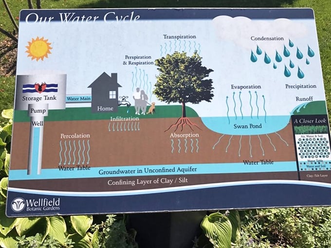 Nature's most impressive magic trick explained: the water cycle diagram shows how Wellfield's ponds connect to Elkhart's drinking water below.