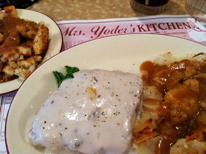 When gravy meets mashed potatoes on this plate, it's like watching the culinary equivalent of "The Notebook" – a love story for the ages.