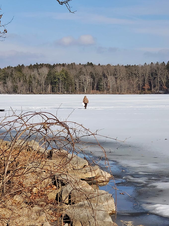 Winter transforms Pymatuning into a frozen frontier. That lone figure isn't just ice fishing—they're practicing the fine art of peaceful isolation.
