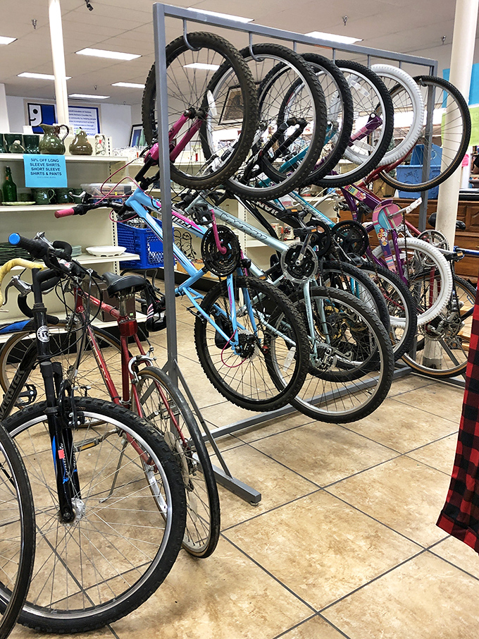Bicycle bonanza! From beach cruisers to mountain bikes, your next two-wheeled adventure is hanging out waiting to be discovered.