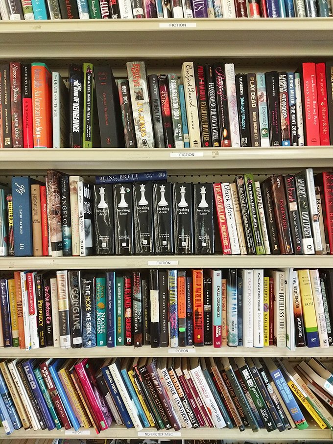 Bookworms, rejoice! These shelves hold literary journeys for pocket change, where dog-eared classics and forgotten bestsellers await their next reader.