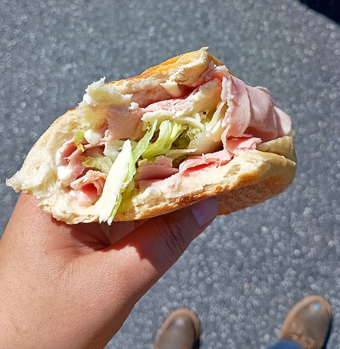 A simple turkey sandwich and chips on a floral plate – proof that sometimes the most straightforward lunch is also the most satisfying.