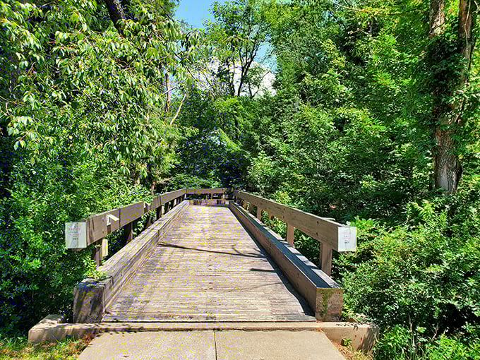 Bridges in parks are like portals to adventure. This wooden walkway beckons with the silent promise: "Something wonderful waits on the other side."