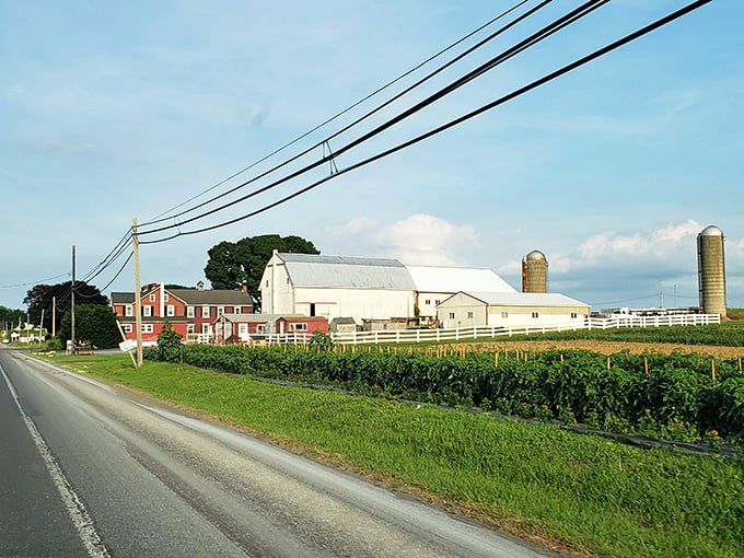 Classic Pennsylvania architecture lines the streets like a Norman Rockwell painting that serves incredible food.