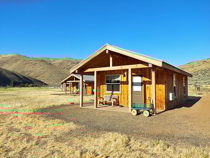 These cabins aren't just accommodations – they're front-row seats to nature's grandest show, no ticket required.