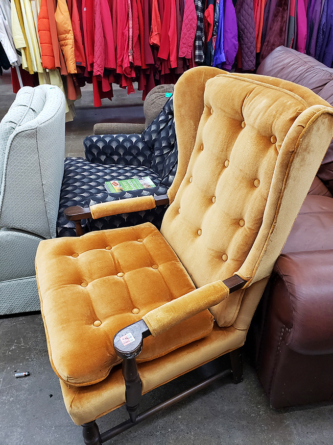 Vintage chairs with stories to tell – that mustard velvet number is practically begging to become someone's reading nook.