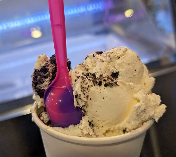 Cookies & Cream reimagined as art. Those aren't factory-made cookie bits—they're chunks of house-baked goodness swimming in cream that dreams are made of.
