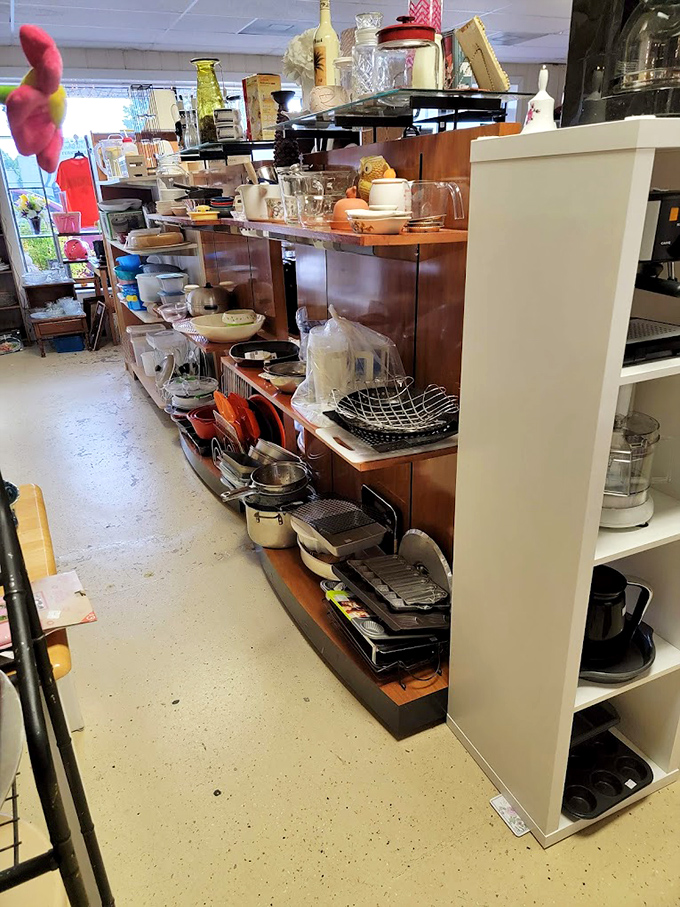 Kitchen heaven for the culinary archaeologist! Pyrex treasures, cast iron workhorses, and gadgets your grandmother swore by – all waiting for their next kitchen adventure.