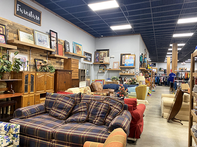 The furniture section showcases everything from plaid country comfort to sleek modern pieces. That blue sofa has stories to tell.