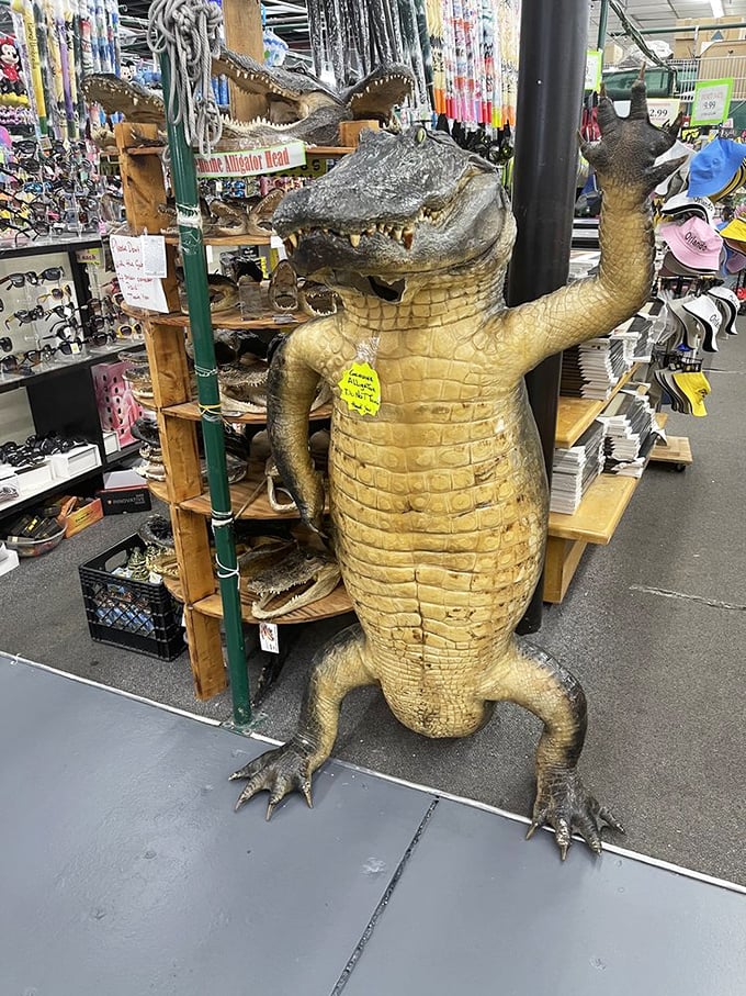 Meet the unofficial greeter of the flea market—a life-sized alligator statue that's thankfully much friendlier than the real swamp residents.