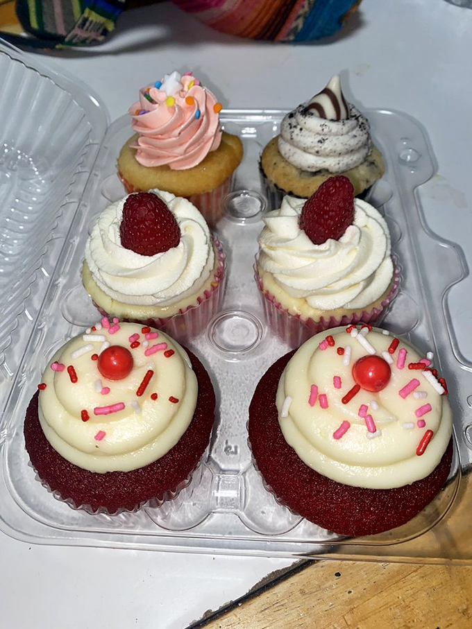 A box of cupcakes that proves variety isn't just the spice of life—it's also the sugar, butter, and frosting of life.