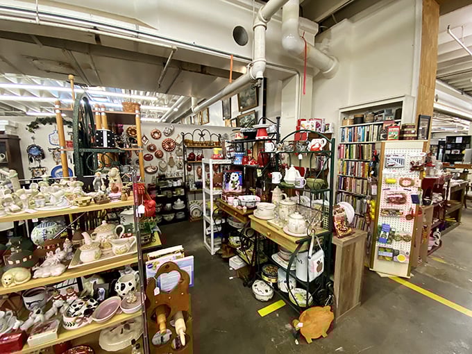 Organized chaos at its finest. Every shelf tells a different story, from holiday decorations to everyday items that somehow became extraordinary with age.