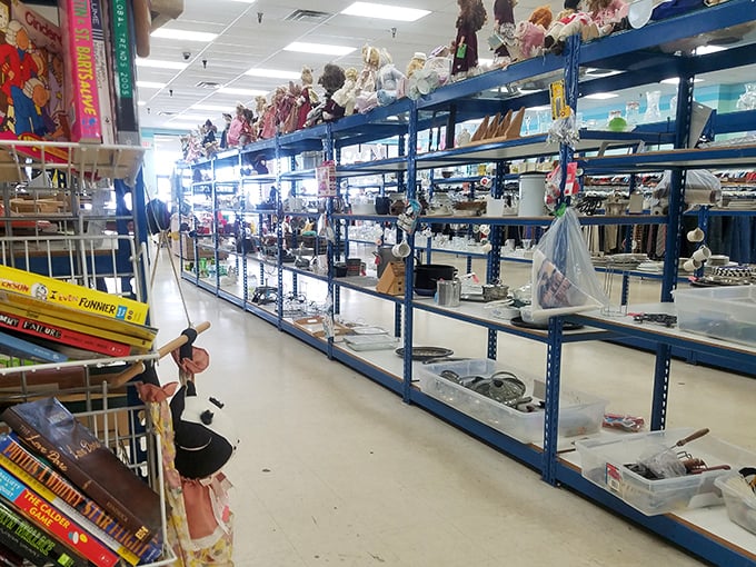 Every shelf tells a tale of American consumer history—toys from different decades living harmoniously with household items your grandmother would recognize.