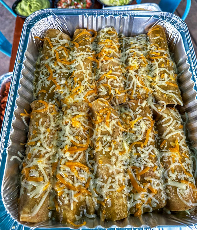 Enchiladas lined up like soldiers in a delicious army. That cheese blanket isn't just for show—it's working overtime in the flavor department.