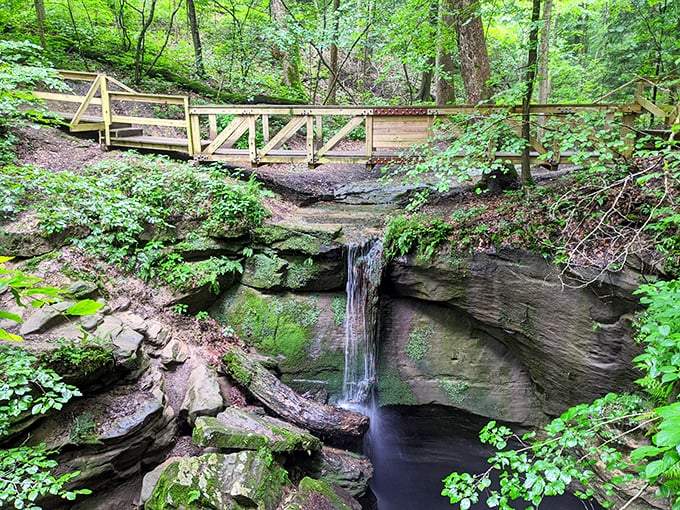 This charming footbridge seems to float above a perfect little waterfall – Mother Nature's version of a spa feature, minus the hefty day pass.